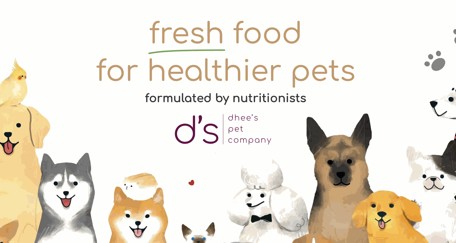 FAQs | Fresh Pet Food Delivery in Chennai – Dhee’s Pet Company